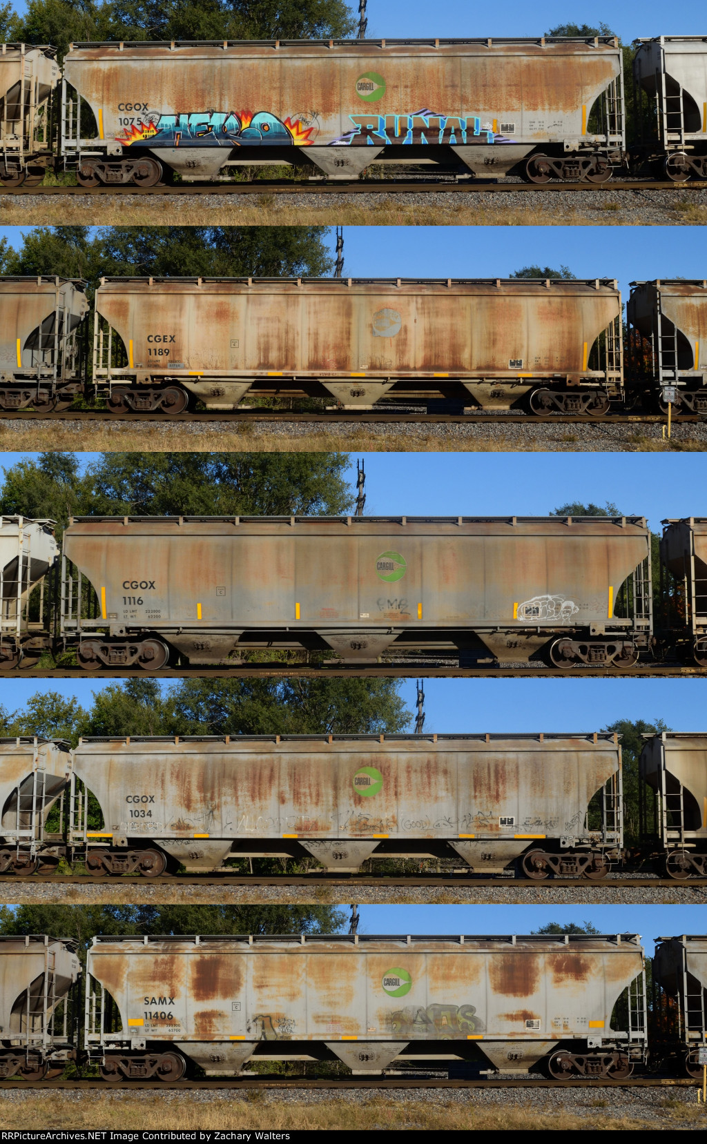 CGOX CGEX SAMX Hoppers